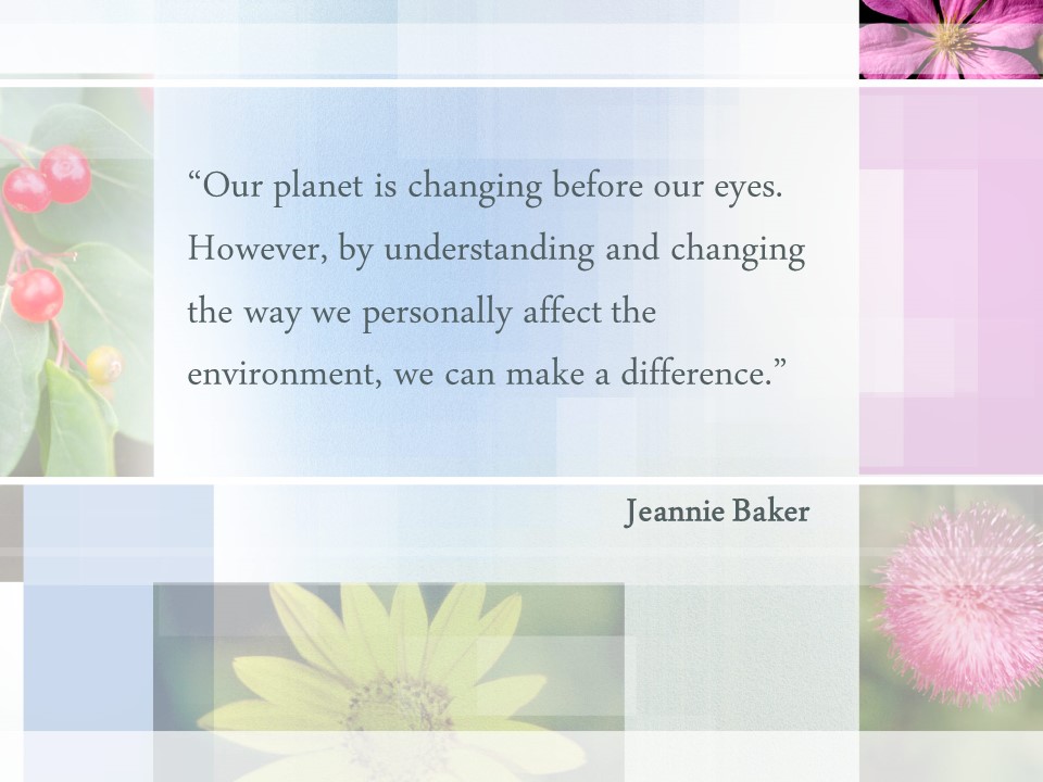 A Celebration of Australian picture books #5 — Jeannie Baker – Norah Colvin