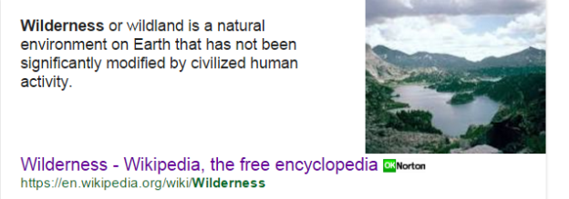 Wild spaces | Norah Colvin