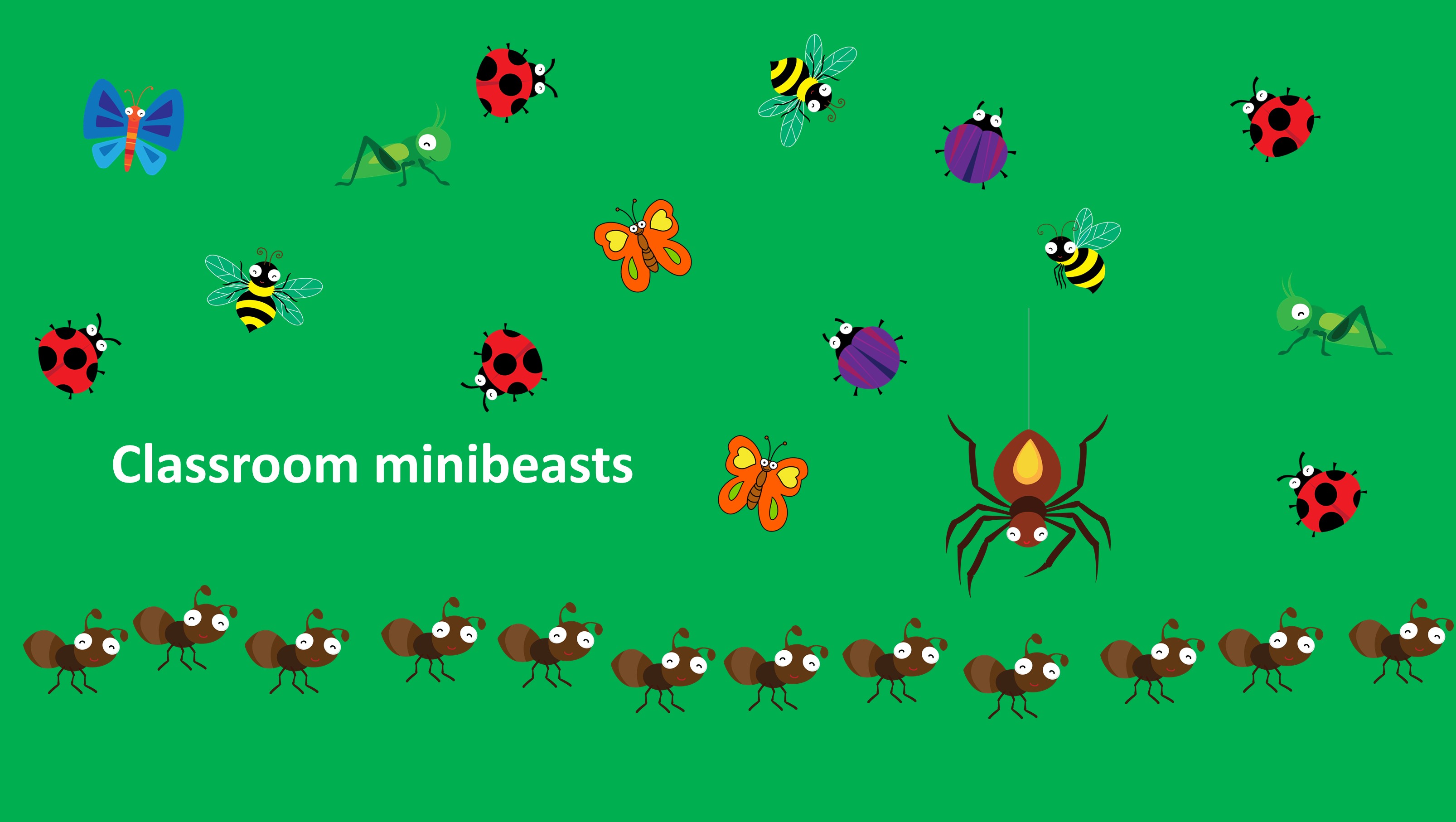 Classroom minibeasts – Readilearn – Norah Colvin
