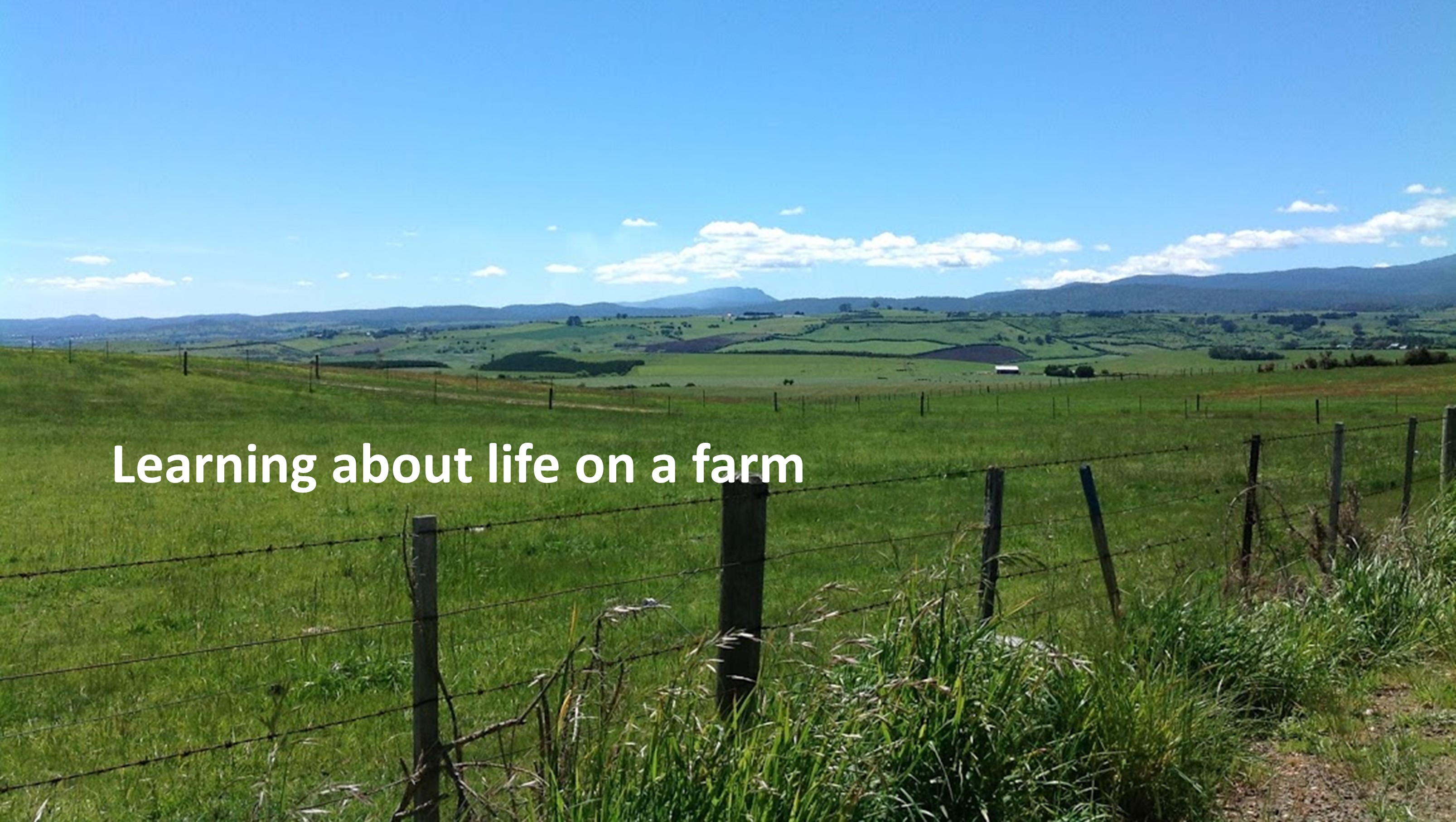 Learning about life on a farm – Readilearn – Norah Colvin