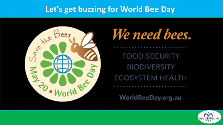 Let’s Get Buzzing for World Bee Day – #readilearn – Norah Colvin