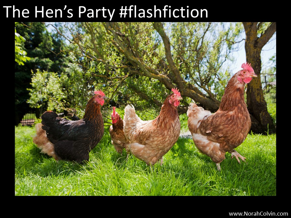 The Hens’ Party – Norah Colvin