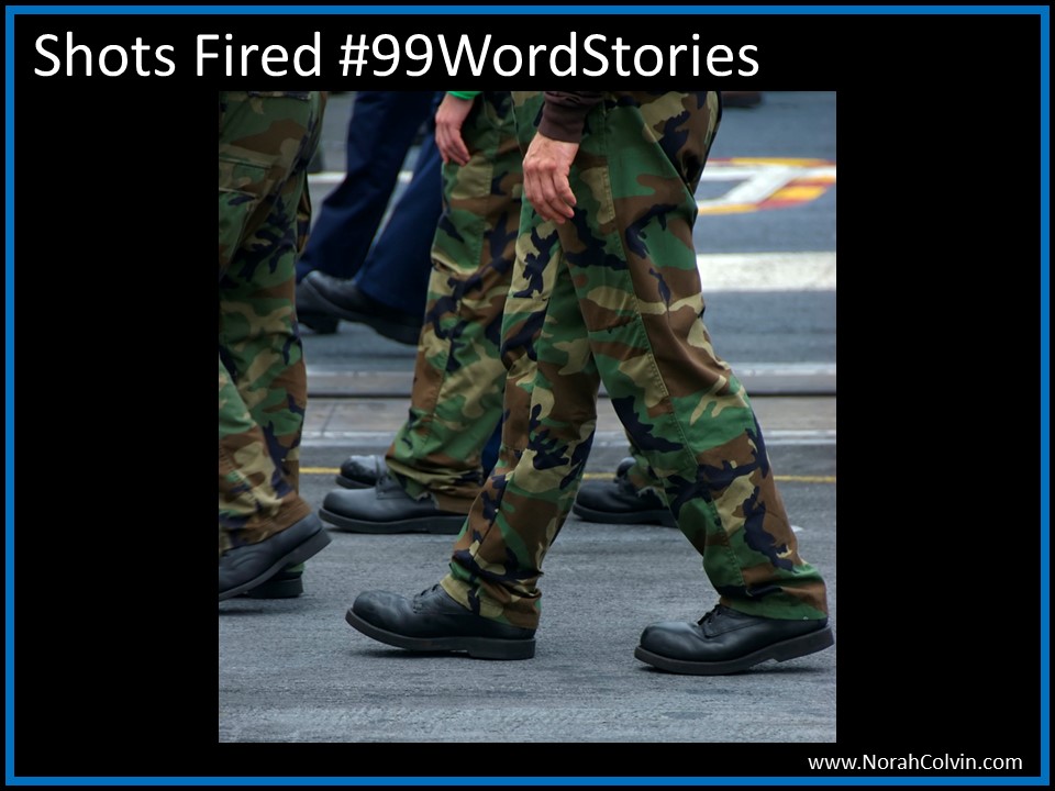 Shots Fired #99WordStories | Norah Colvin