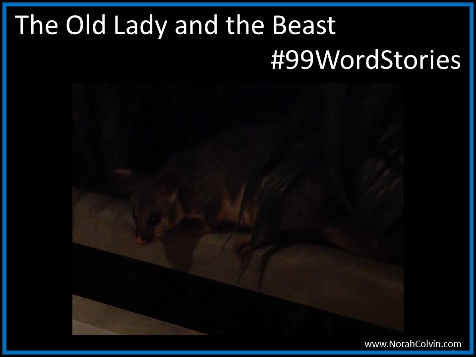 The Old Lady and the Beast #99WordStories – Norah Colvin